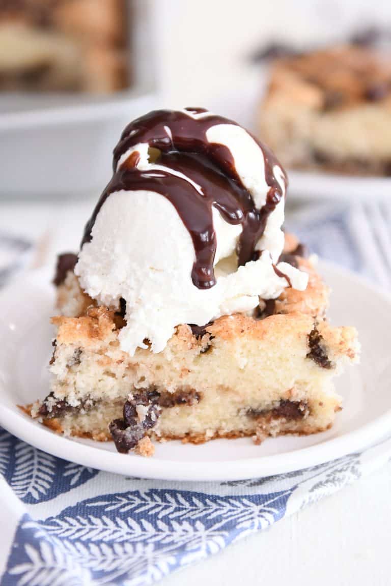 One Bowl Chocolate Chip Cake | Mel's Kitchen Cafe