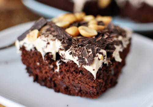 Chocolate Peanut Butter Fun Cake | Mel's Kitchen Cafe