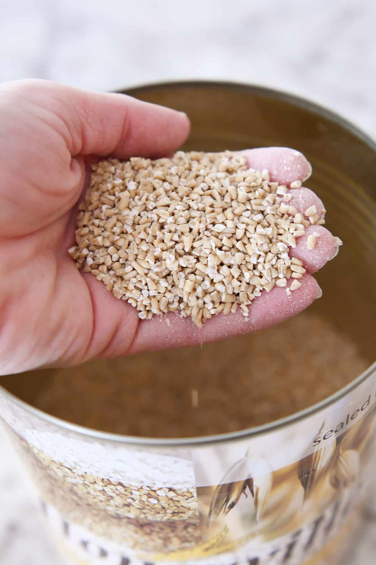 Easy Food Storage Plan | Long Term and Short Term | Mel's Kitchen Cafe