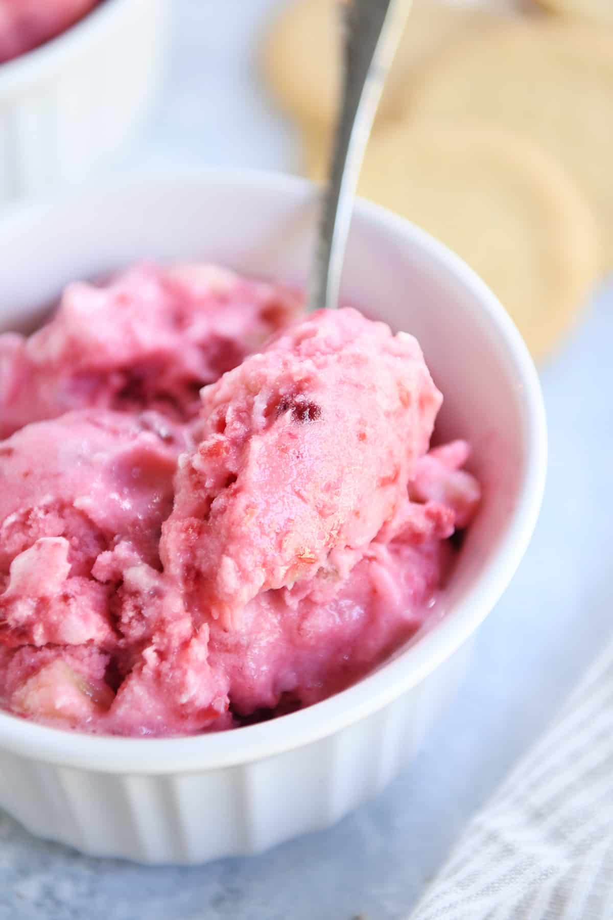 Pink Tropical Raspberry Sorbet - Mel's Kitchen Cafe