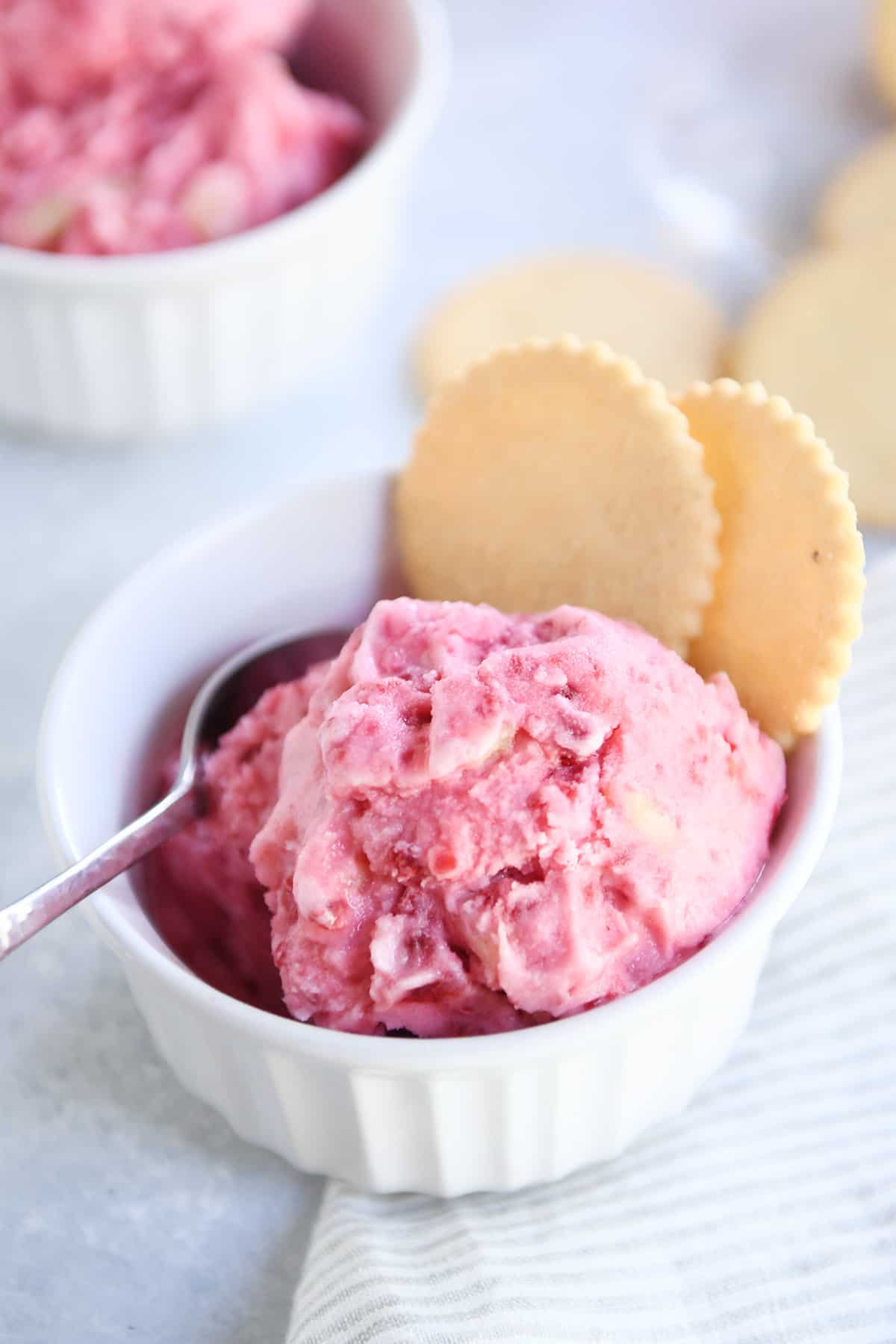 Pink Tropical Raspberry Sorbet - Mel's Kitchen Cafe