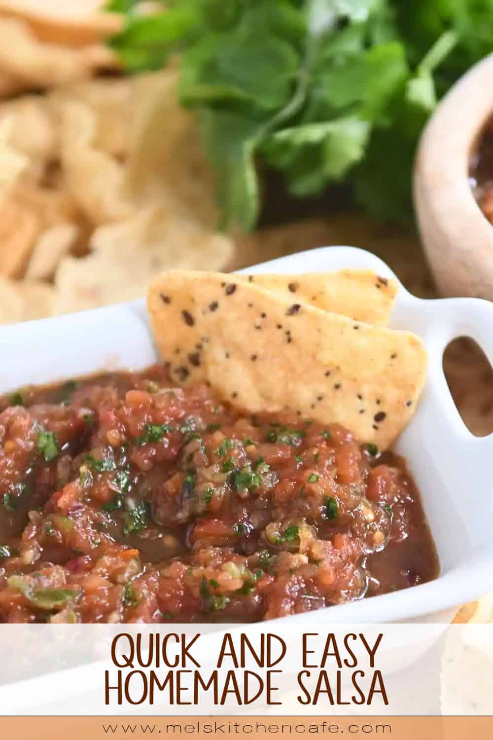 Quick and Easy Homemade Salsa - Mel's Kitchen Cafe