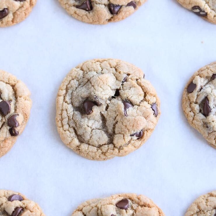 Soft and Chewy Chocolate Chip Cookie Recipe