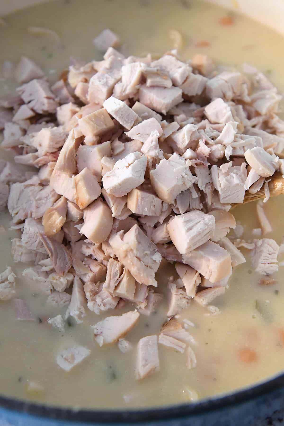 Homestyle Chicken Noodle Soup - Mel's Kitchen Cafe