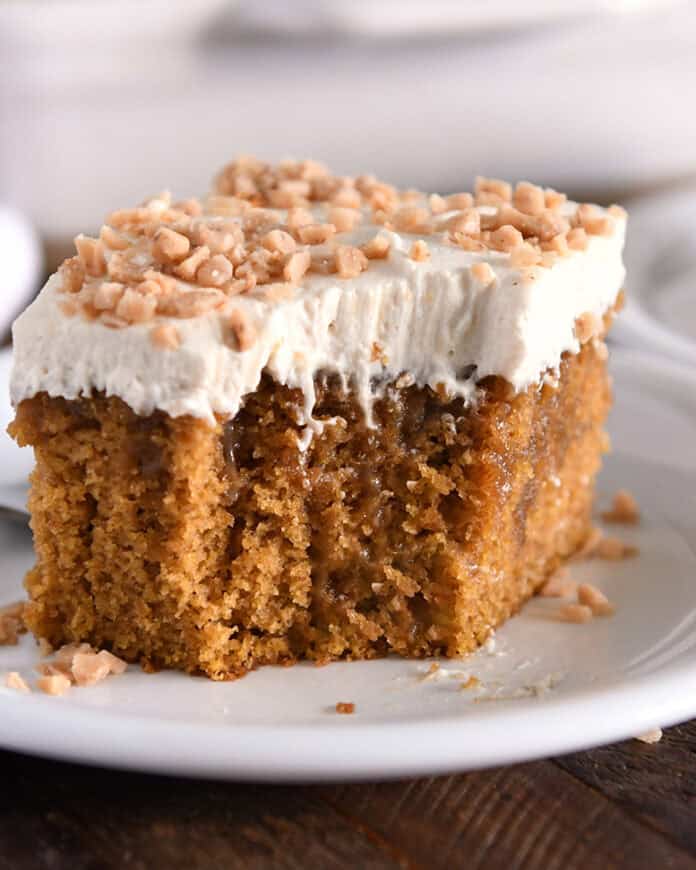 30+ Very Best Pumpkin Recipes {Sweet and Savory!} - Mel's Kitchen Cafe