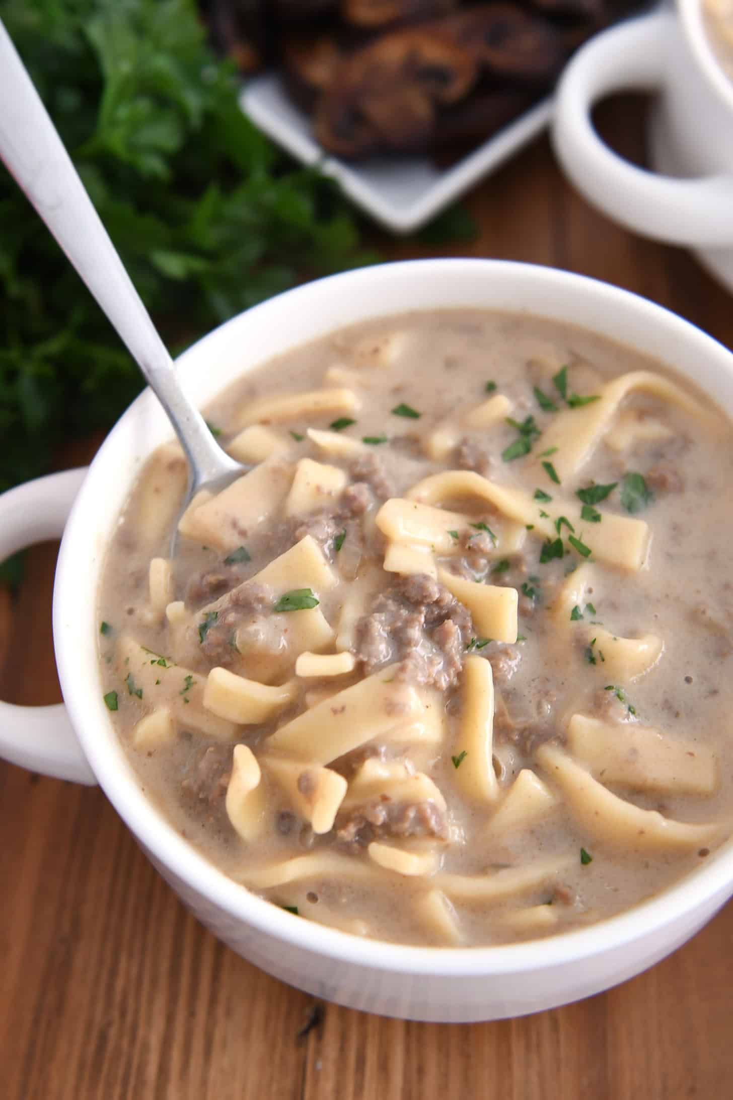 Easy Beef Stroganoff Soup - Mel's Kitchen Cafe
