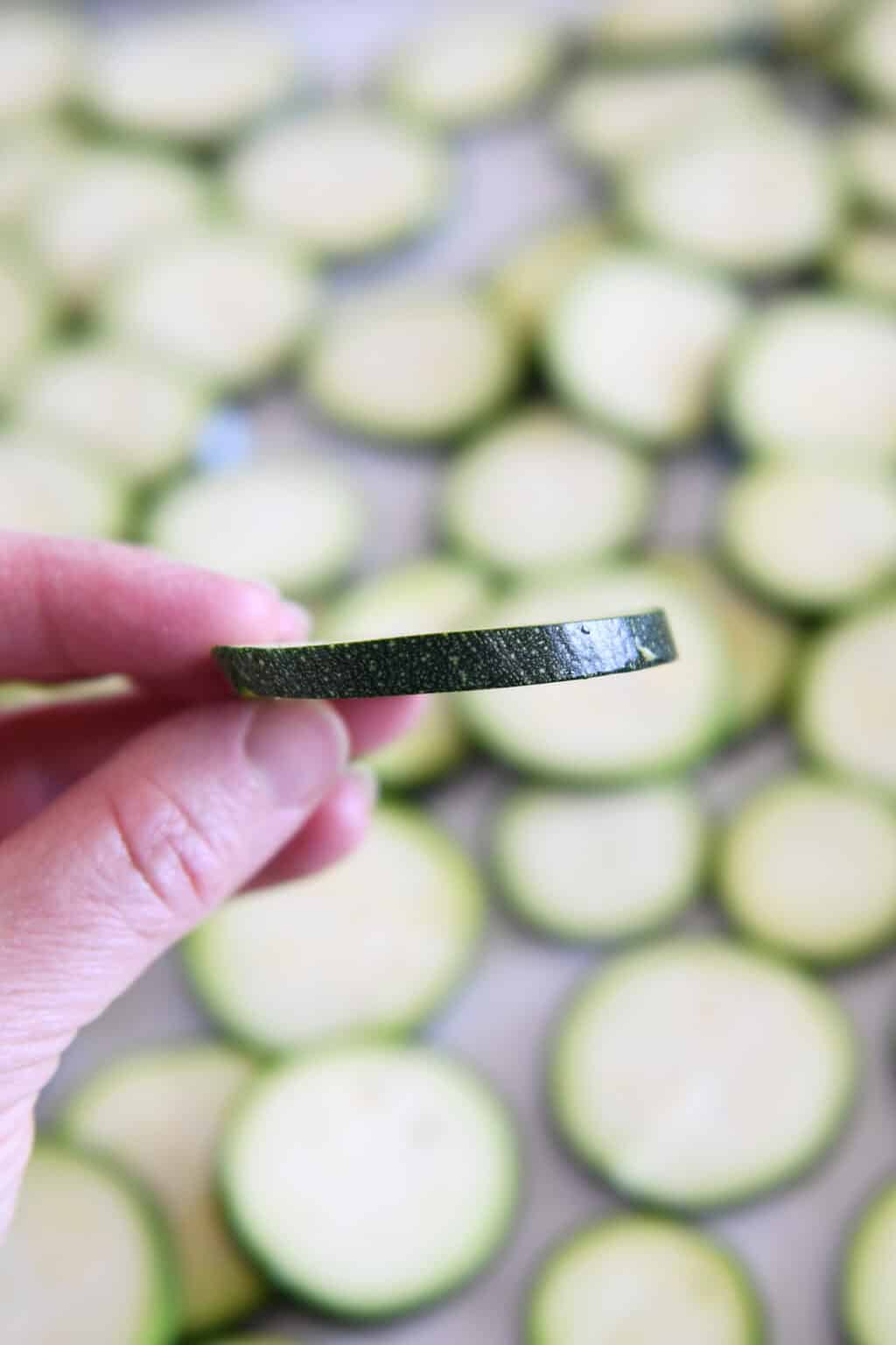 Quick and Easy Baked Parmesan Zucchini Rounds - Mel's Kitchen Cafe