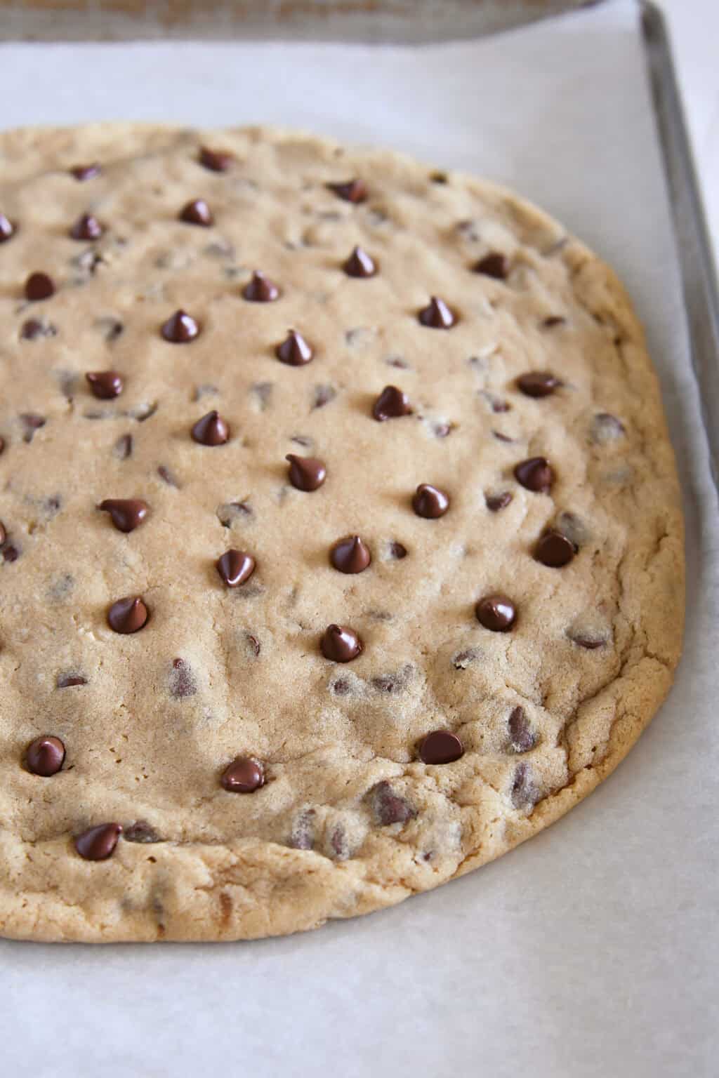 Giant Chocolate Chip Cookie | Mel's Kitchen Cafe