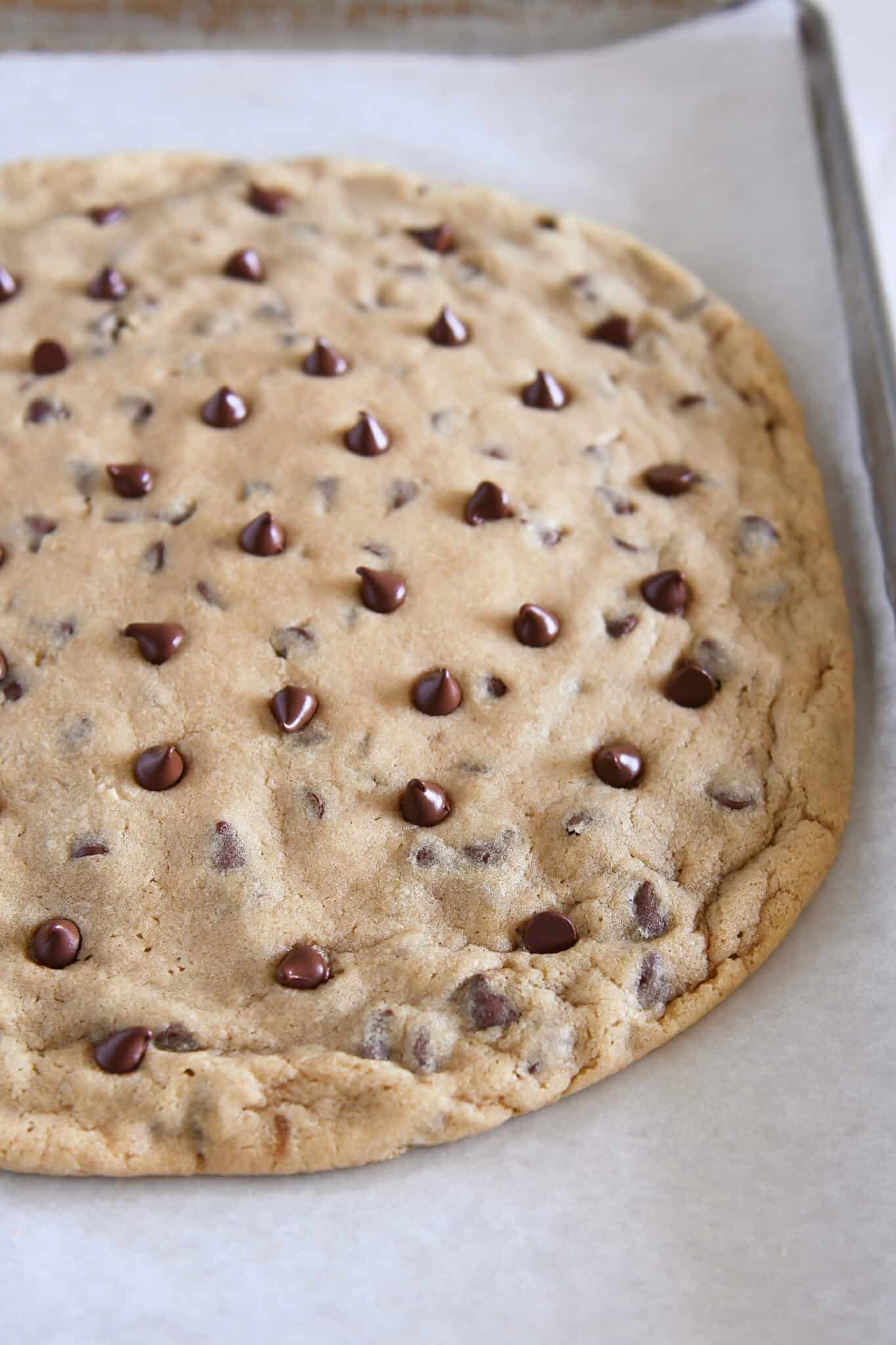 Giant Chocolate Chip Cookie | Mel's Kitchen Cafe