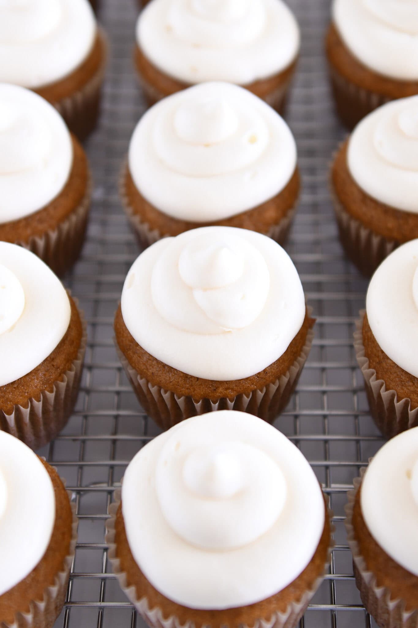 Pumpkin Cupcakes with Whipped Cream Cheese Frosting