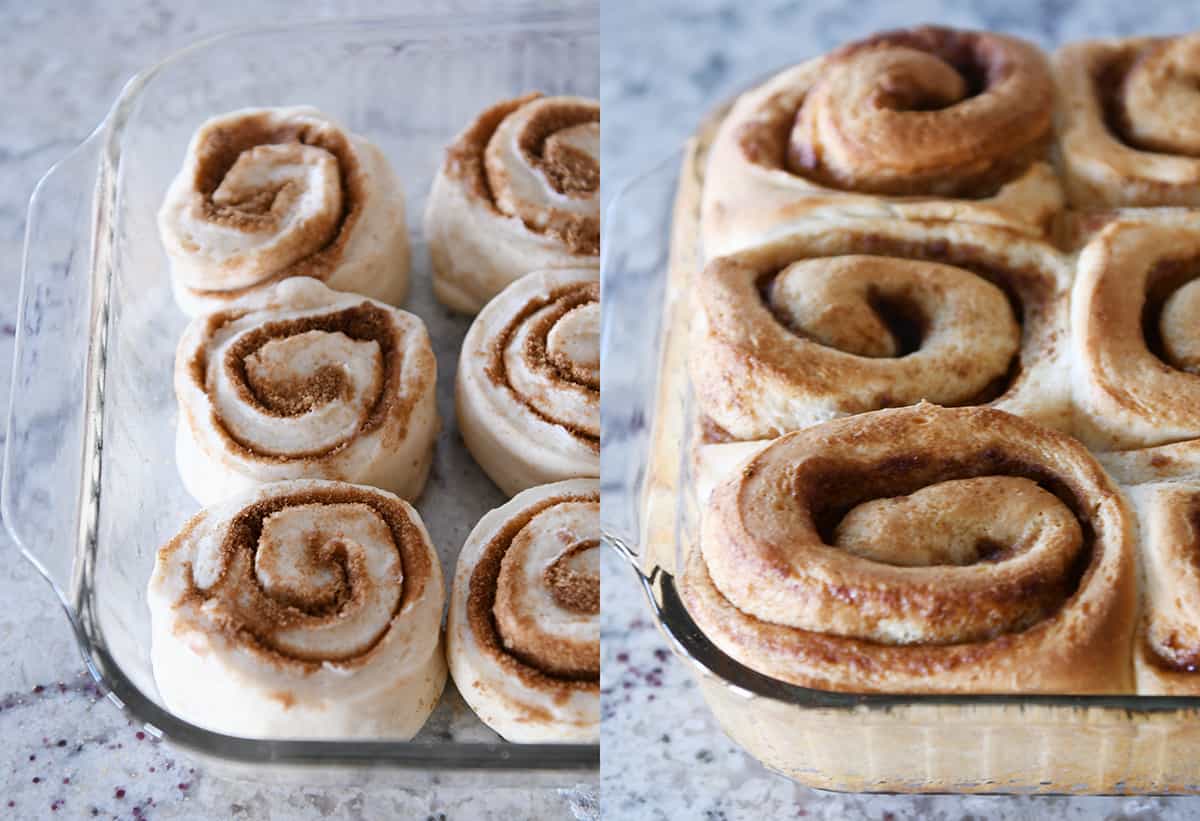 The Best Cinnamon Rolls - with step-by-step tutorial