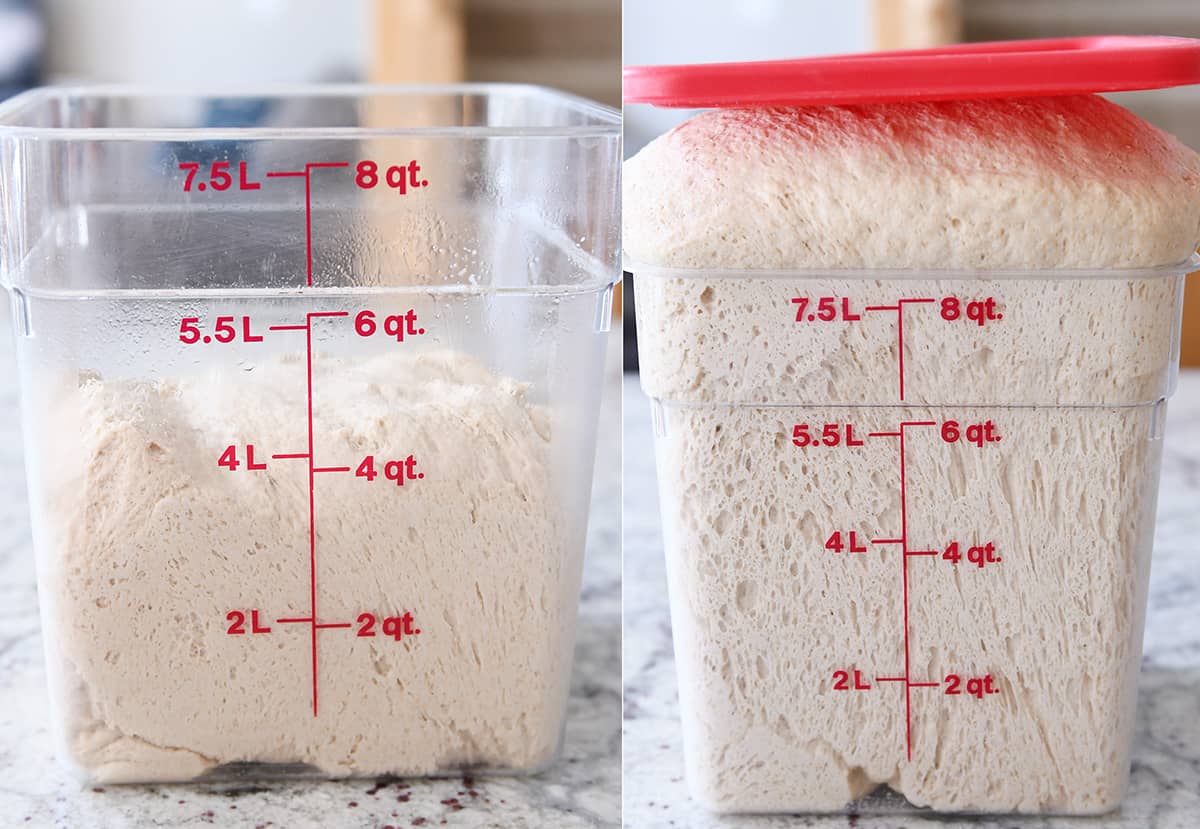 Guide to Baking with Yeast {New and Improved} - Mel's Kitchen Cafe