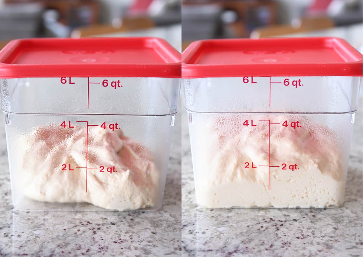 The Best Cinnamon Rolls - with step-by-step tutorial