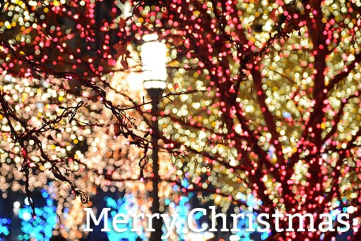 Merry Christmas - Mel's Kitchen Cafe